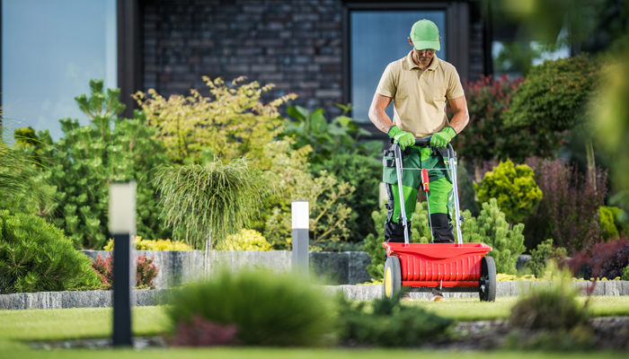 Best Time to Fertilize Your Lawn in Michigan: Lush Lawn's Recommendations